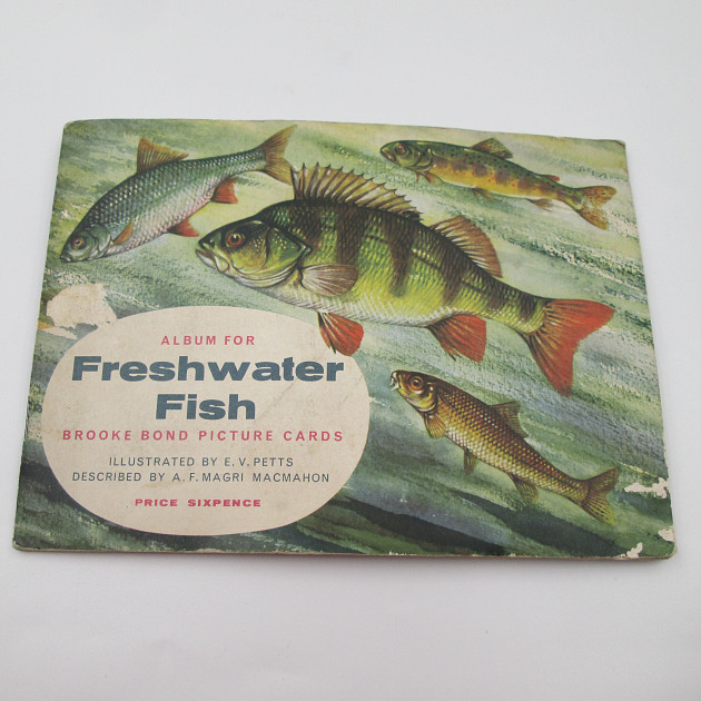 Freshwater Fish Picture Cards Album Brooke Bond 1960s | El ...
