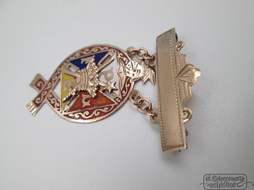 masonic order pythian sisters knights of pythias badge 14k gold and ...